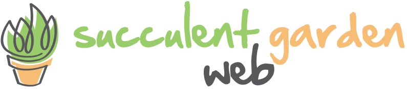 10 Best Astrophytum Asterias Varieties - Succulent Garden Web