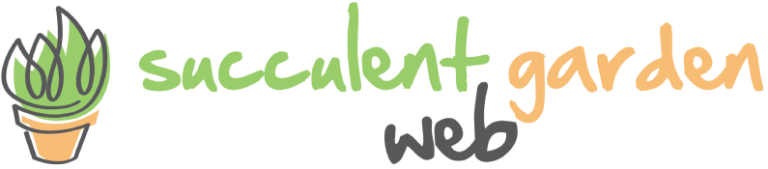 7 Succulents That Look Like a Snake Plant—Easy & Stylish Alternatives ...