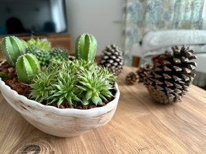 Top 30 Cactus Decor Ideas For Home - Succulent Garden Web