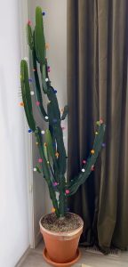 20 Creative Cactus Arrangement Ideas - Succulent Garden Web