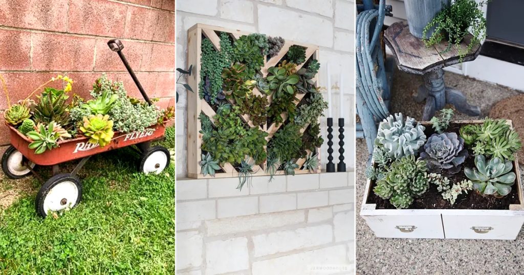 25 Creative Succulent Arrangement Ideas Succulent Garden Web