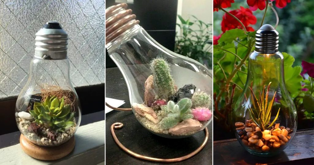10 Amazing Succulent Light Bulb Planter - Succulent Garden Web