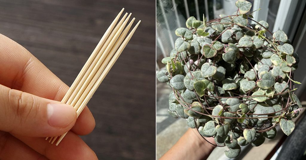 Toothpick Hack That Makes String of Hearts Trail Even Faster ...