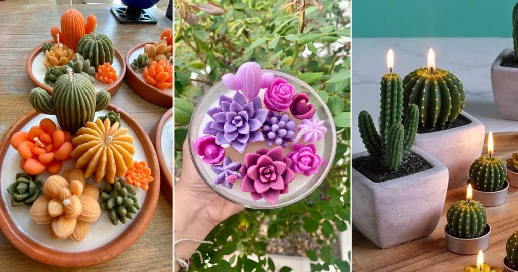 30 Succulent Rock Garden Ideas - Succulent Garden Web